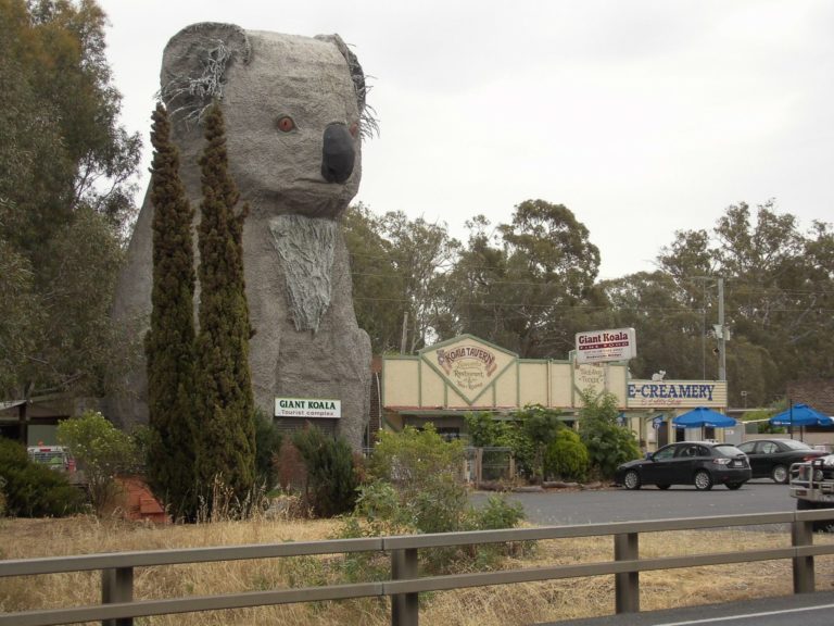 Giant Koala At Dadswells Bridge - Visit Horsham